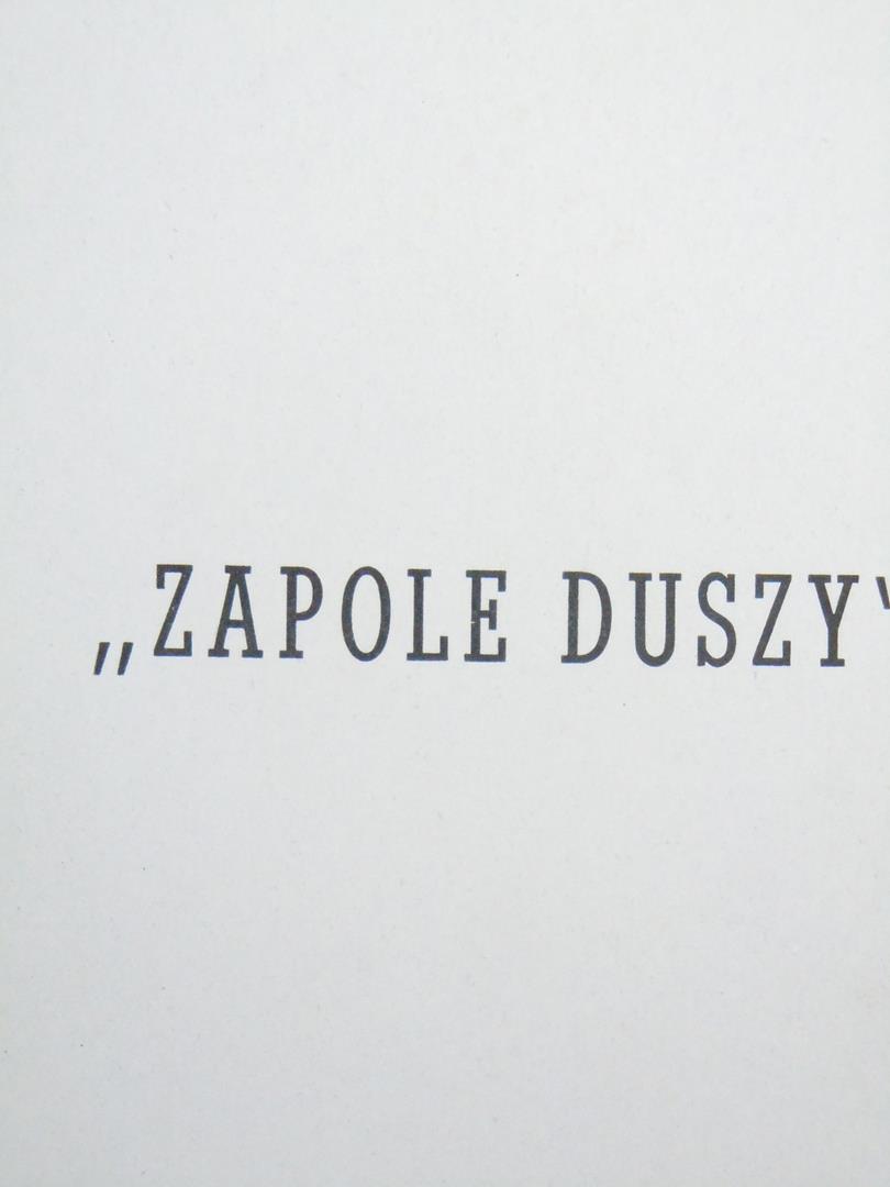 Zapole - Niska cena na Allegro