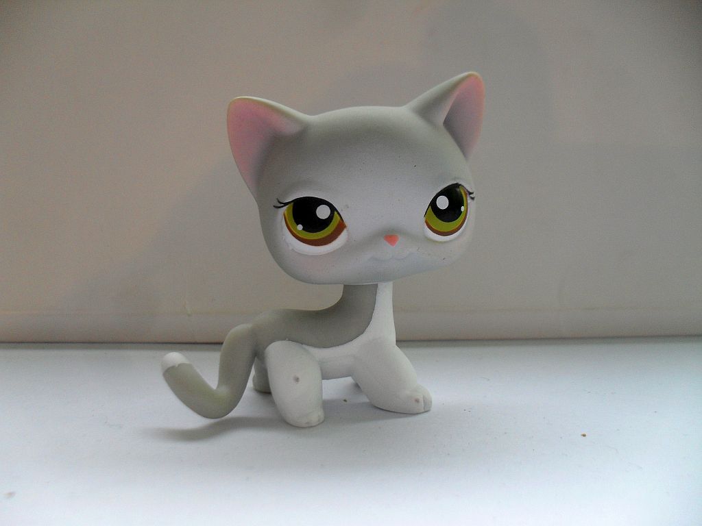 LITTLEST PET SHOP LPS 138 SZARY SHORTHAIR KOT - 7569112191 - oficjalne ...