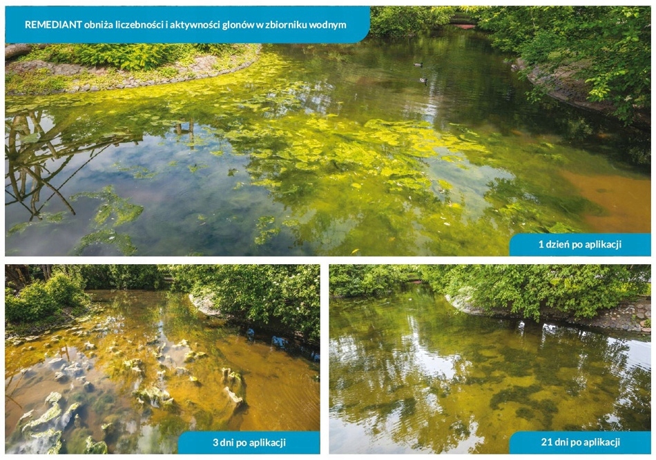 REMEDIANT 1kg - czysty staw, jezioro, oczko - 7480641625 - oficjalne ...